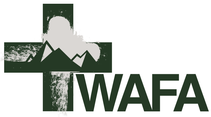 Curso WAFA | CEMMAA